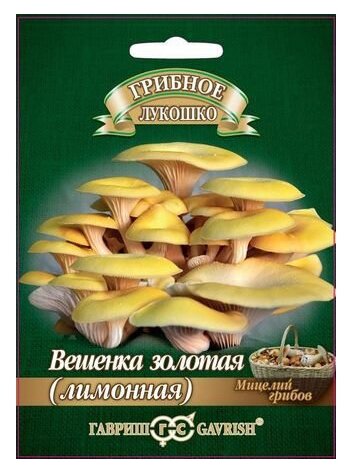 Семена Мицелий Вешенка золотая Лимонная на древесн. палочке 12шт (Гавриш)