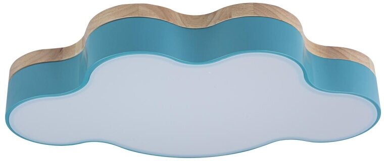 Потолочный светильник Loft IT AXEL 10005/30 Blue