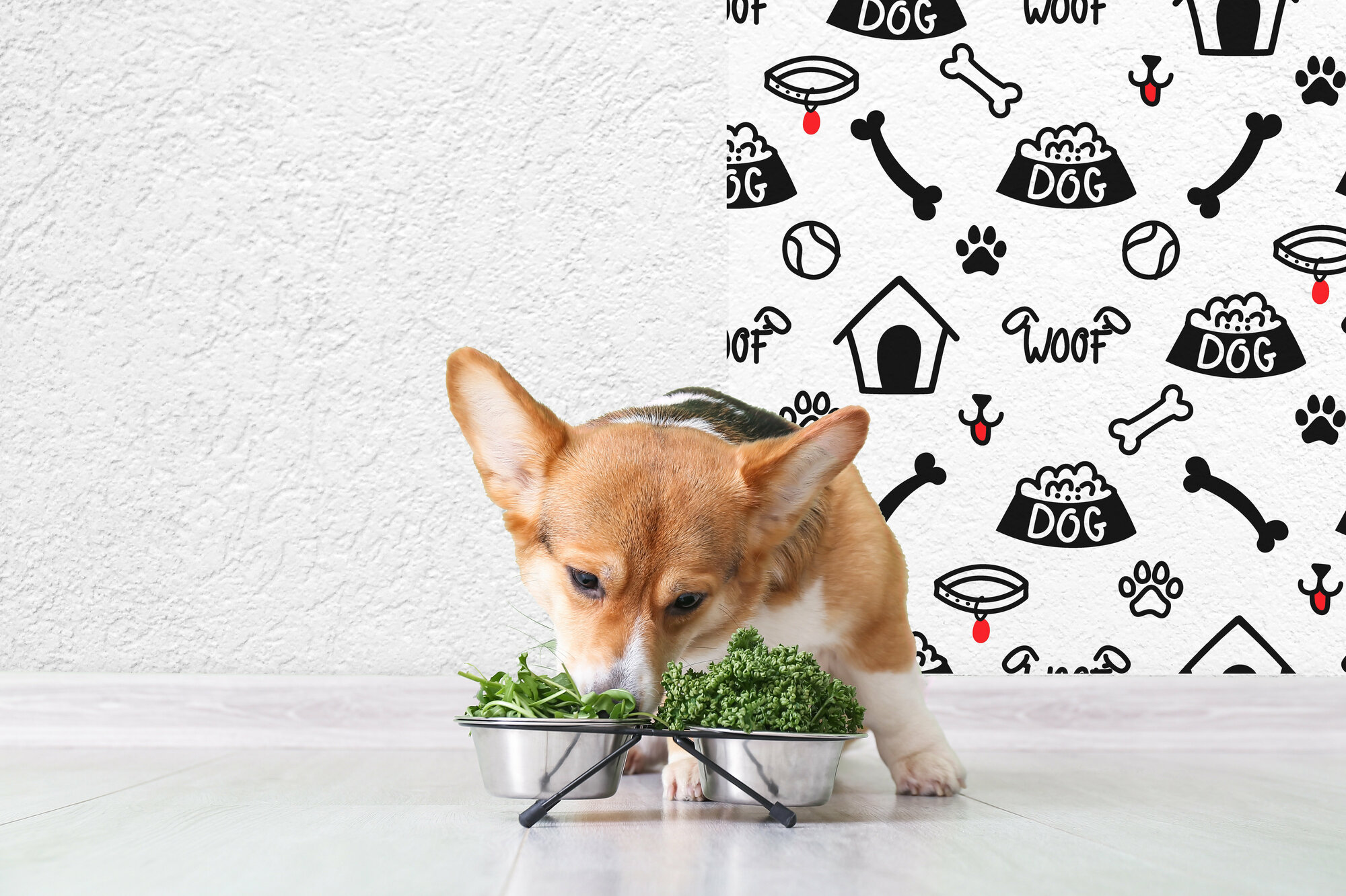 Защитная самоклеящаяся пленка / фартук для декорирования стен и пола на месте кормления или туалета "Миска и будка" (60х60 см)