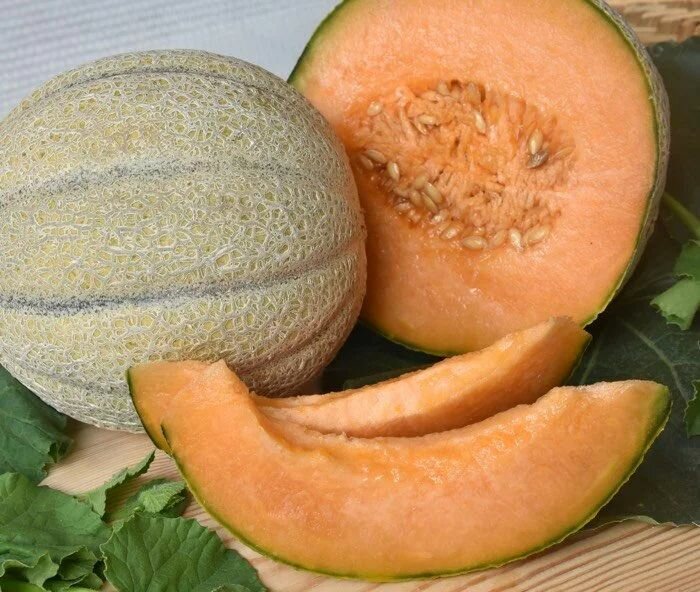 Коллекционные семена дыни F1 Русский Размер