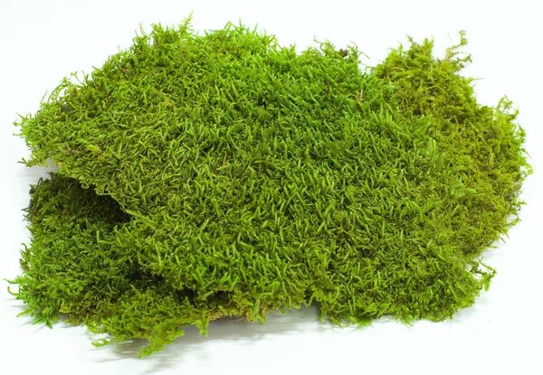 Сфагнум Мох 100л интерьерный натуральный продукт