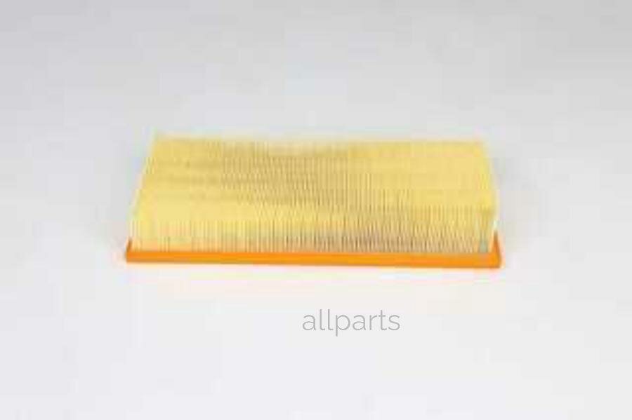 BSG AUTO PARTS BSG15-135-015 Фильтр воздушный