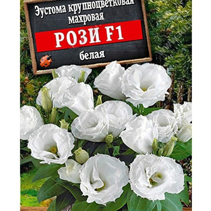 Эустома Махровые Рози Белая 5шт (5 шт.), Агрофирма Поиск, Россия