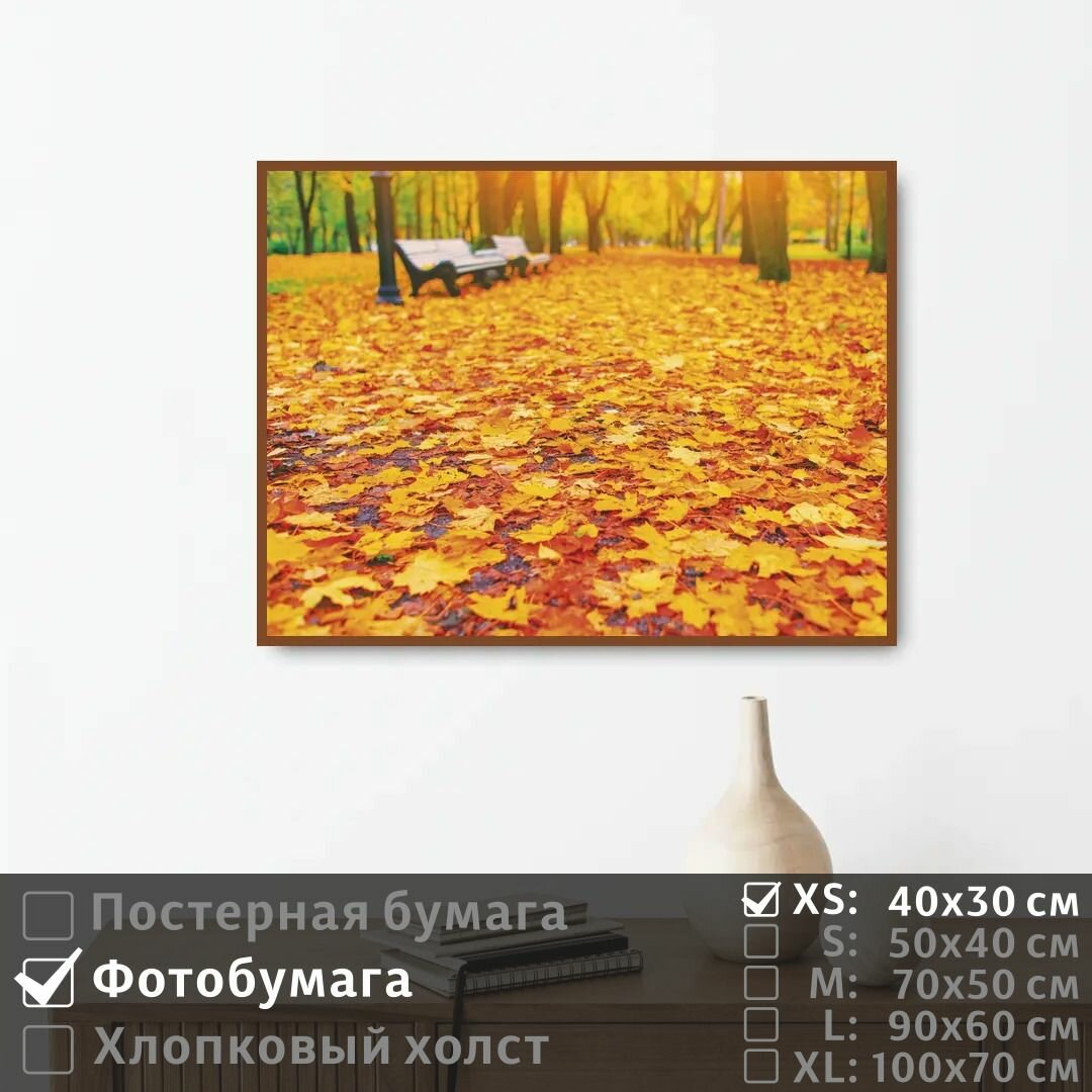 Постер на фотобумаге Осенние Листья На Тропинке В Городском Парке 40х30 см ПолиЦентр