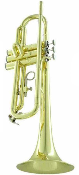 Труба Bb CarolBrass CTR-1000H-YSS-Bb-L