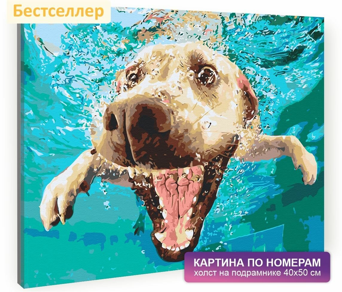 Картина по номерам на холсте с подрамником 40х50 см. Природа, животные, рыбы, птицы. Собаки, щенки. "Ныряющий лабрадор", арт. 3264/