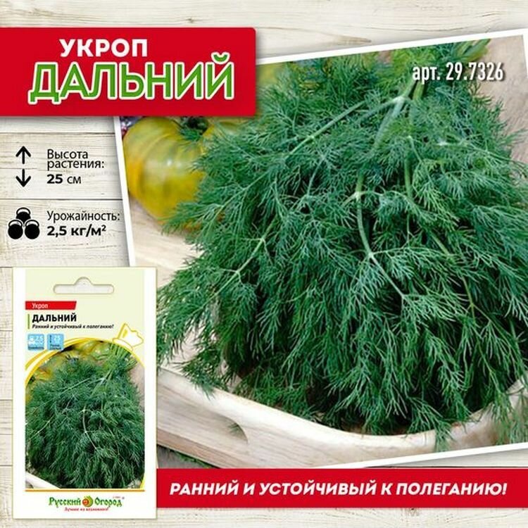 Укроп Дальний, семена укропа для посадки. Русский Огород.