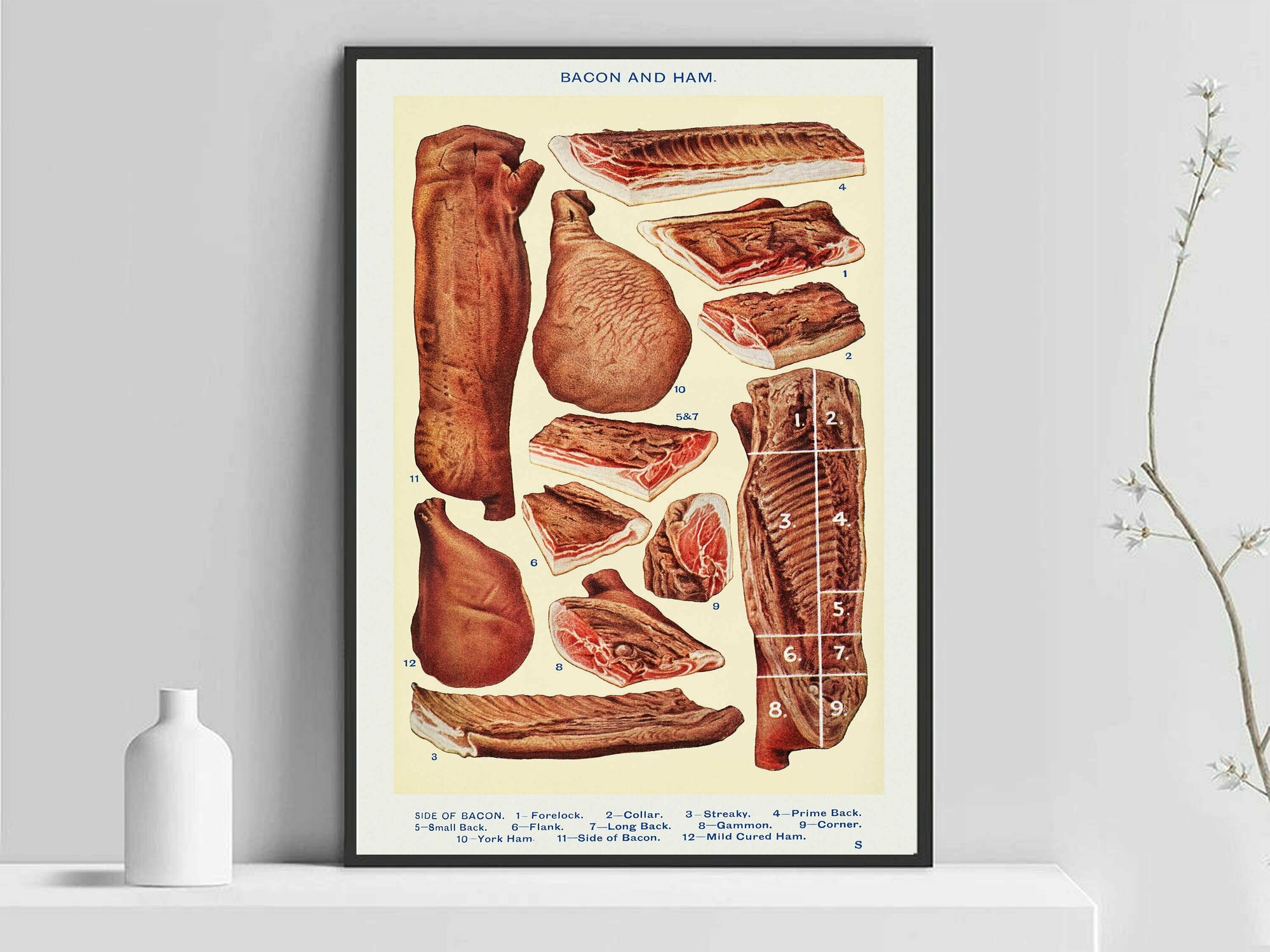 Постер "Виды мяса" - винтажный стиль для кухни, размер A2, без рамы. Интерьерный плакат "Ветчина и Бекон" в подарок для кулинара