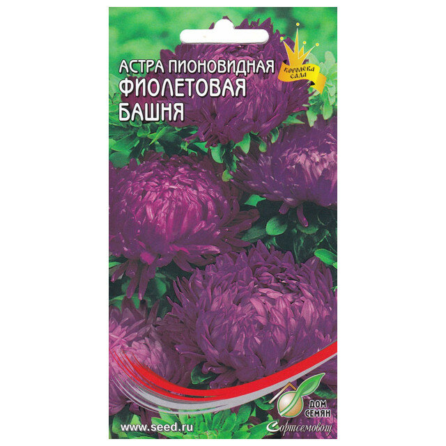 Дом Семян астра пионовидная Фиолетовая Башня - семена декоративного цветка для сада