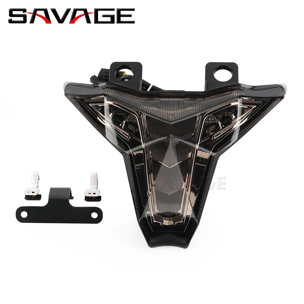 Для KAWASAKI Z400 Z1000 Ninja 400 ZX6R ZX10R ZX10RR светодиодный задний фонарь для мотоцикла, Smoke