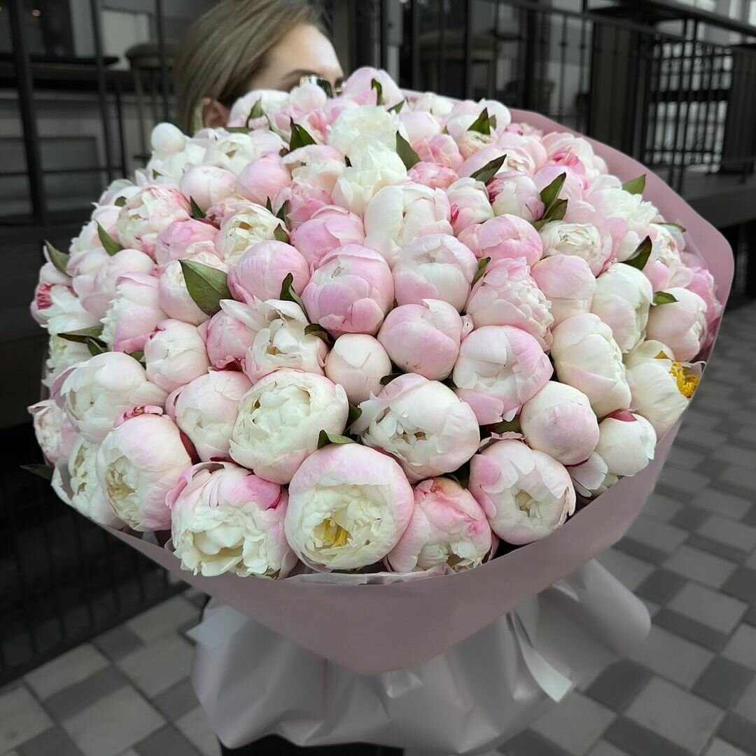 Букет из 101 пиона (101 розовый пион), высота букета 40 см, ширина 50 см