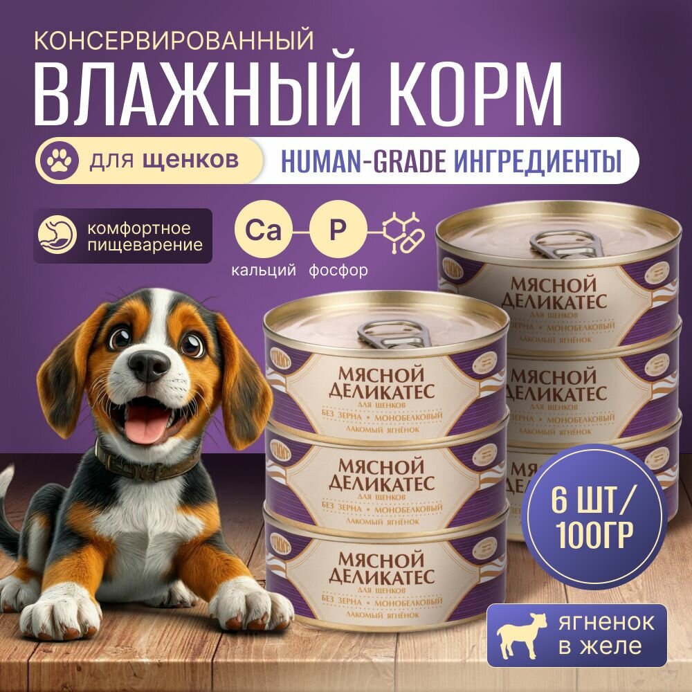 Yummy Мясной Деликатес Влажный корм для щенков Ягненок натуральный в желе, 100 г. * 6 шт.