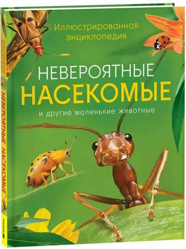 Невероятные насекомые. Иллюстрированная энциклопедия, 2 штуки
