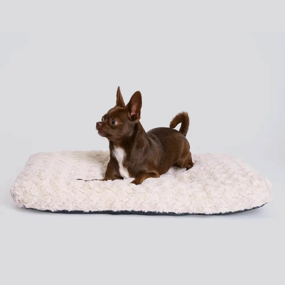 RURRI Лежанка - Матрасик для кошек и собак мелких и средних пород, 60х45х8 см, бежевый