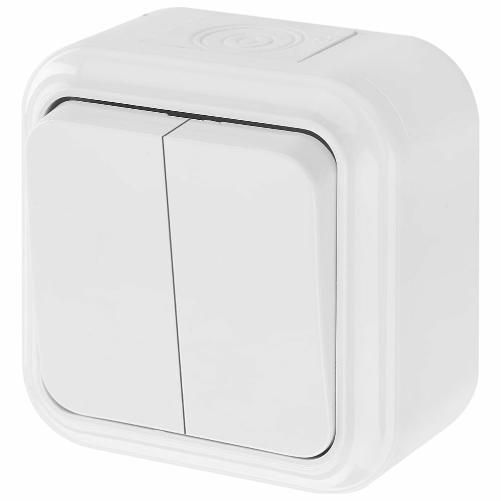 Двухклавишный выключатель BYLECTRICA пралеска аква