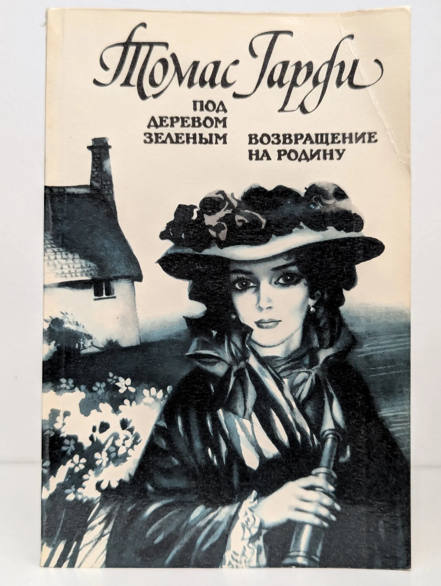 Под деревом зелёным. Возвращение на родину Харди Томас 1989