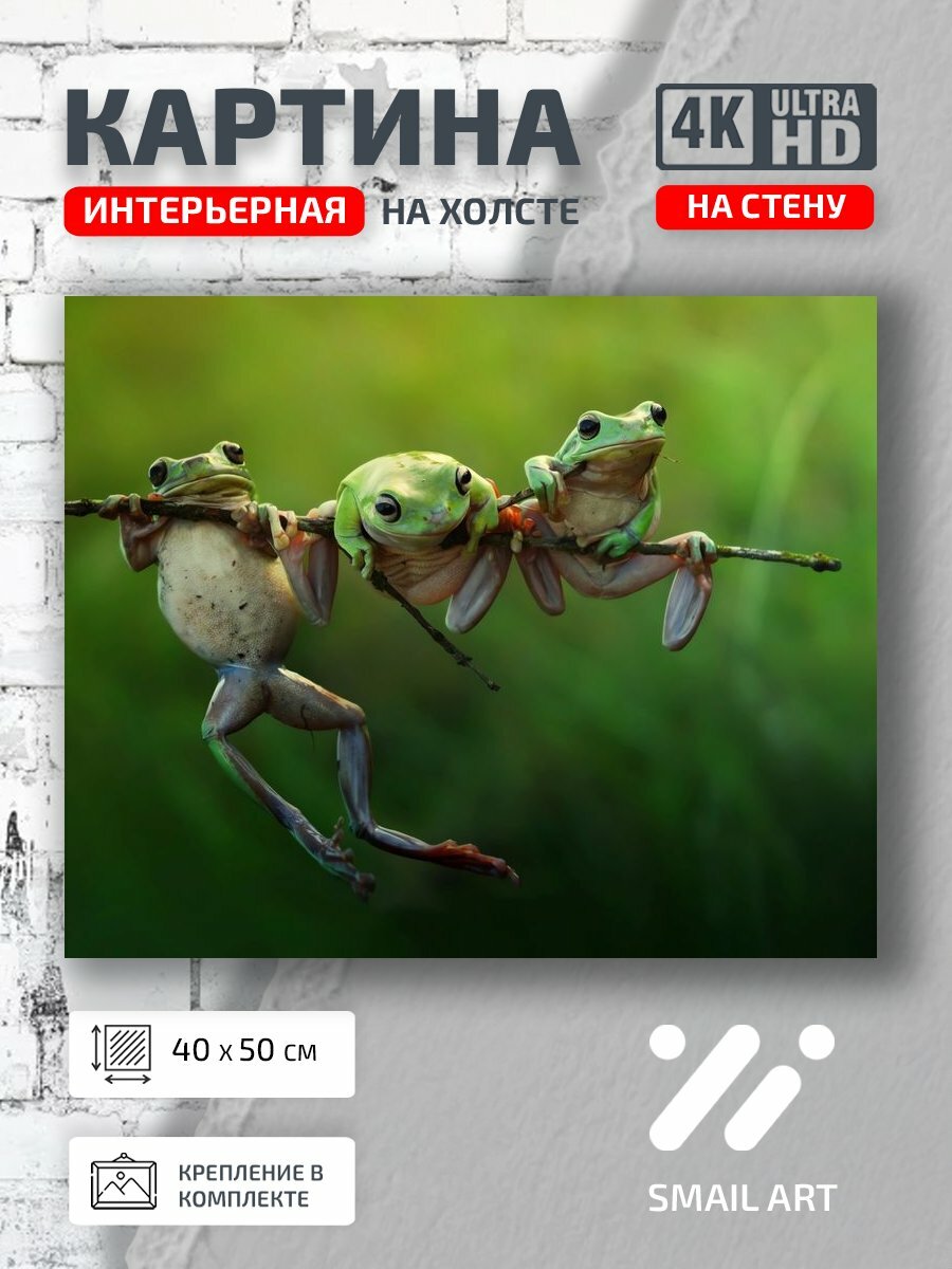 Картина на холсте интерьерная 40 на 50 на стену Лягушки Landscape для кафе пейзаж интерьер