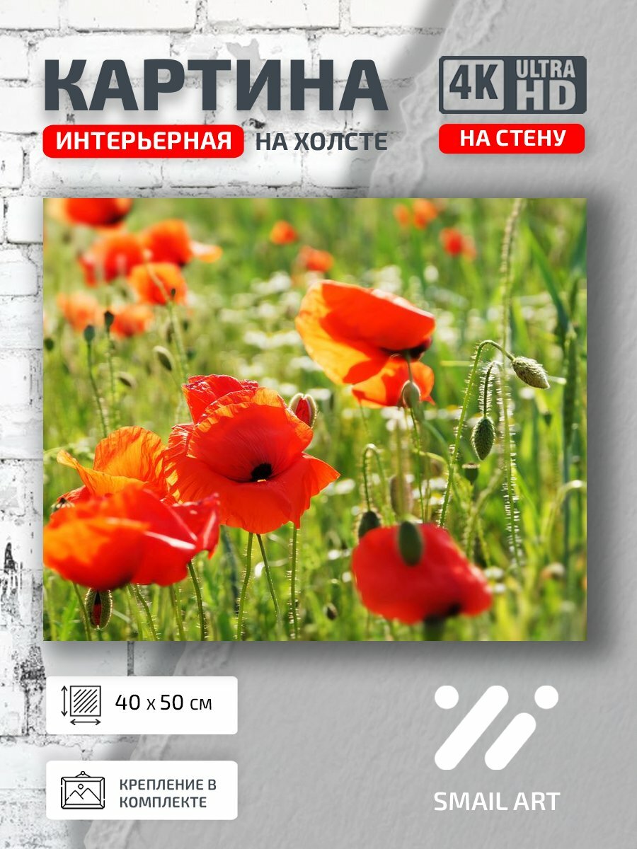 Картина на холсте интерьерная 40 на 50 на стену Маки maki для спальни пейзаж интерьер декор