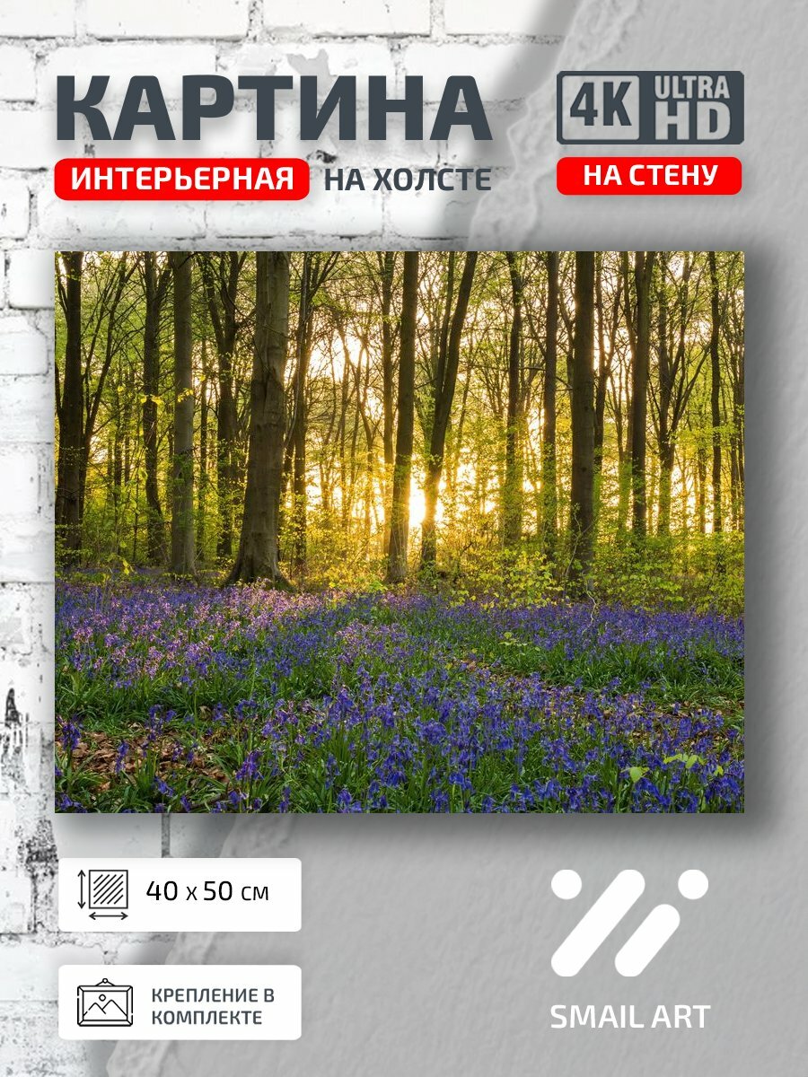 Картина на холсте интерьерная 40 на 50 на стену Рассвет Landscape для спальни пейзаж декор