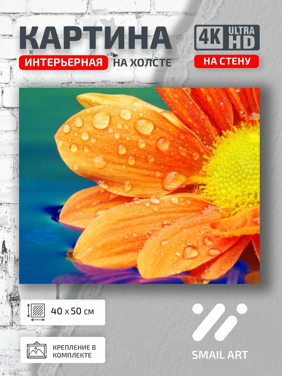 Картина на холсте интерьерная 40 на 50 на стену Капли Macro для гостиной макро интерьер