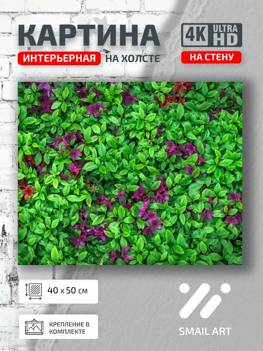 Картина на холсте интерьерная 40 на 50 на стену Зелень Landscape для кабинета пейзаж декор