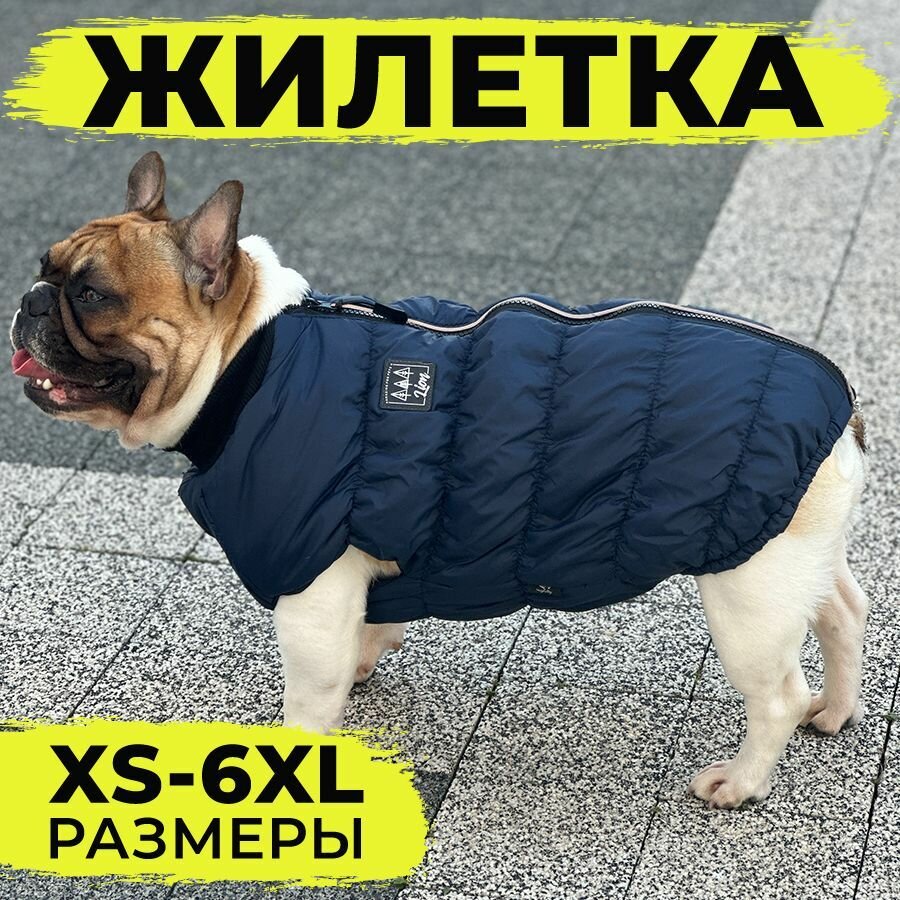 Одежда для животных