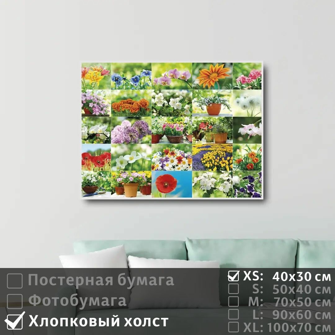 Постер на холсте Коллаж Из Красивых Цветов 40х30 см ПолиЦентр