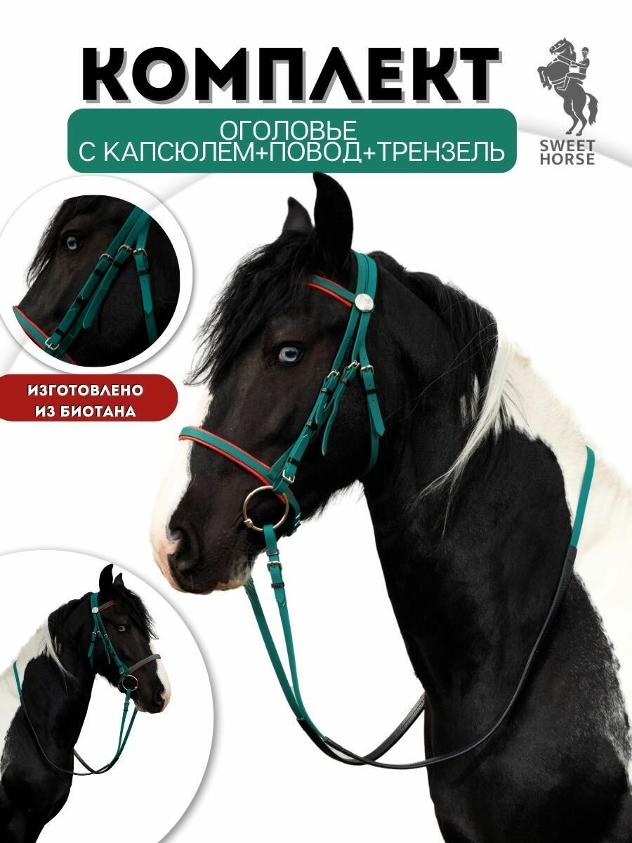 Sweethorse / Оголовье с капсюлем + повод + трензель, зеленый