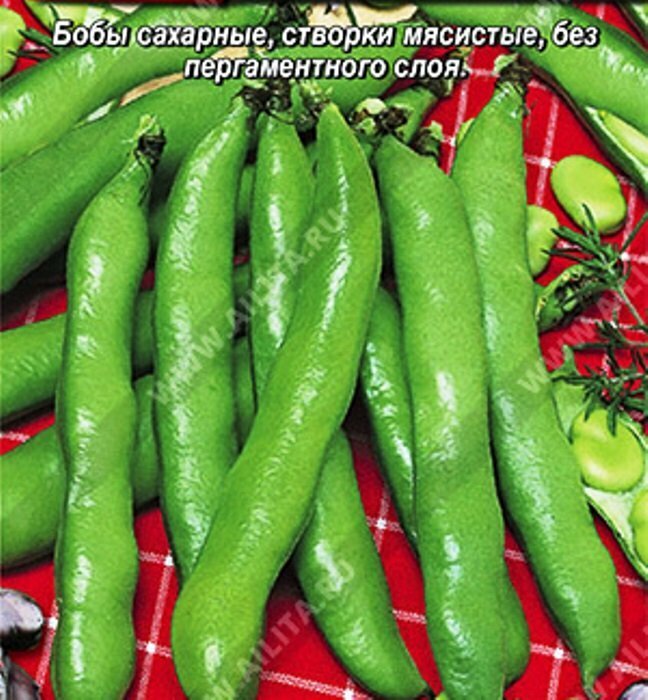 Семена Бобы овощные Черная жемчужина