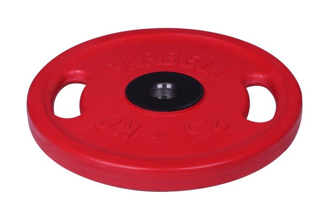 Barbell d 51 мм цветной 25,0 кг с ручками