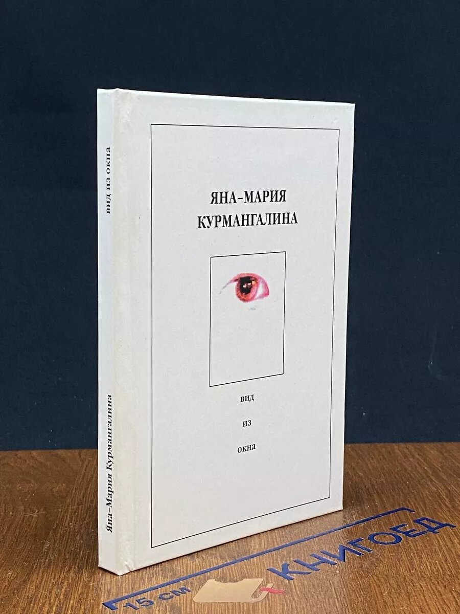 Книга. Вид из окна 2008 (2039651920700)