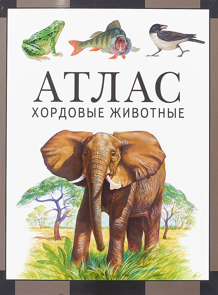 Хордовые животные. Атлас