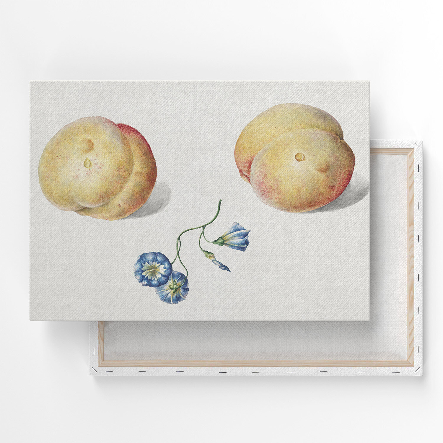 Картина на холсте, репродукция / Якоб ван Ос - Twee perzikken en een bloem / Размер 80 x 106 см