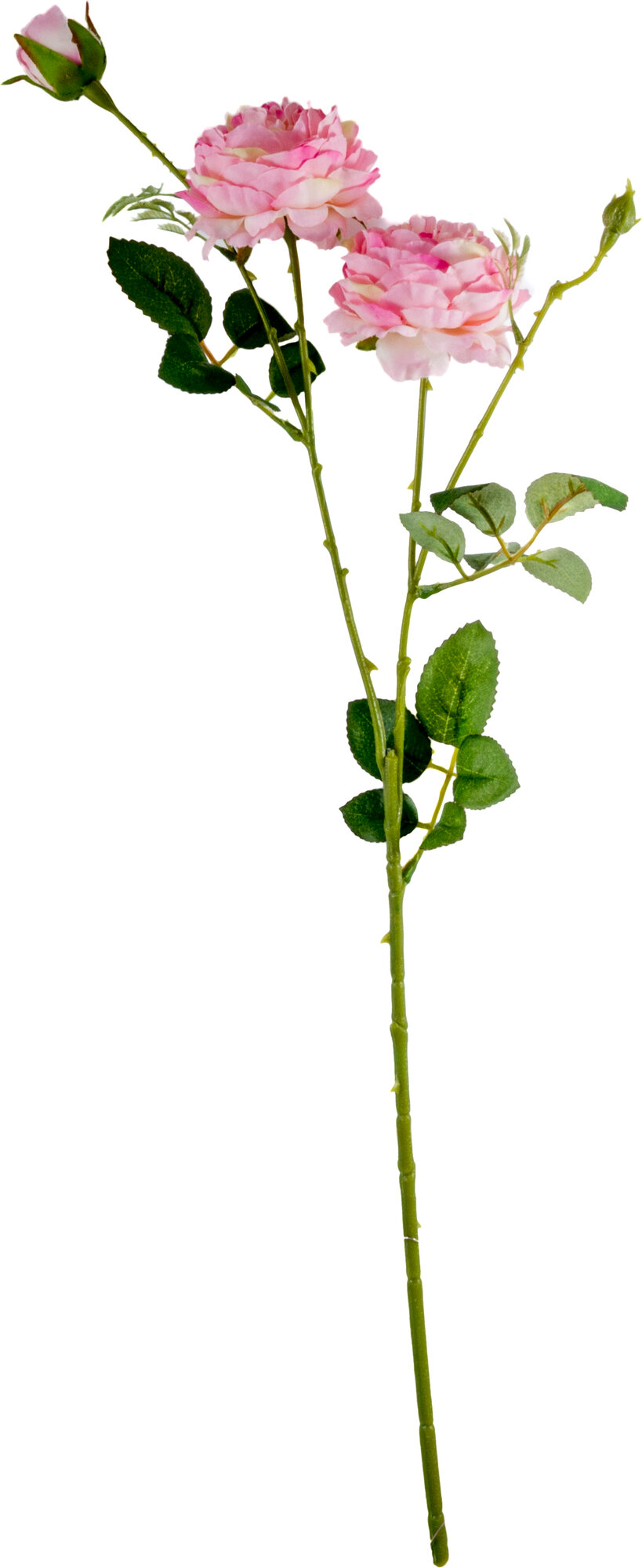 Цветок "Роза пионовидная" (2цветка+1бутон)