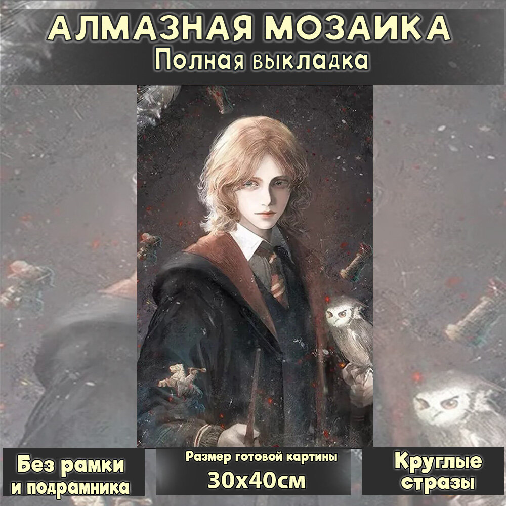 Алмазная мозаика . Картина стразами. Вселенная Гарри Поттера"Рональд Билиус Уизли " 30х40 см 1594-5