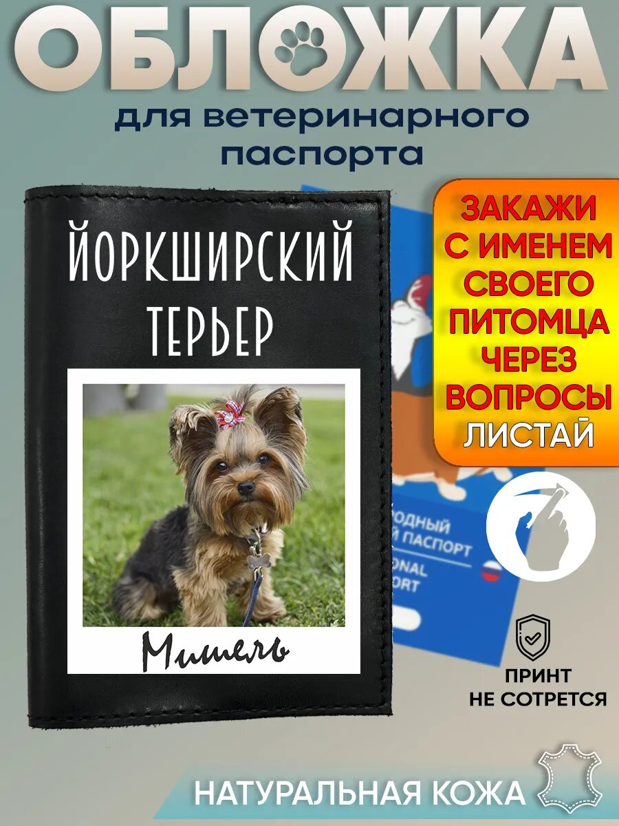 Обложка RenBel