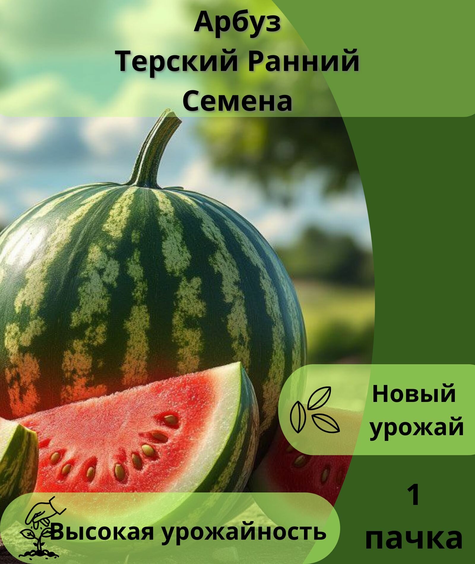 Арбуз Терский Ранний, семена 10шт