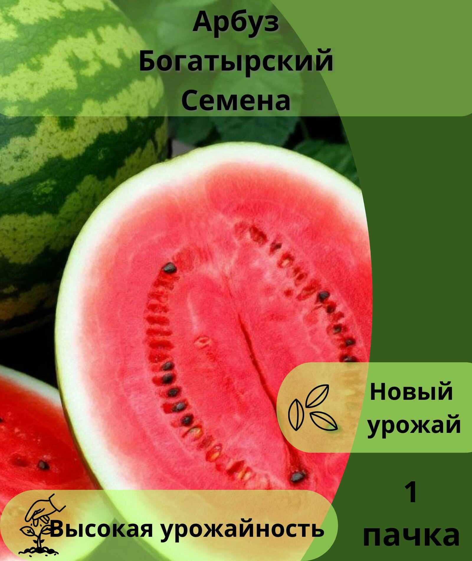 Арбуз Богатырский, семена 10шт