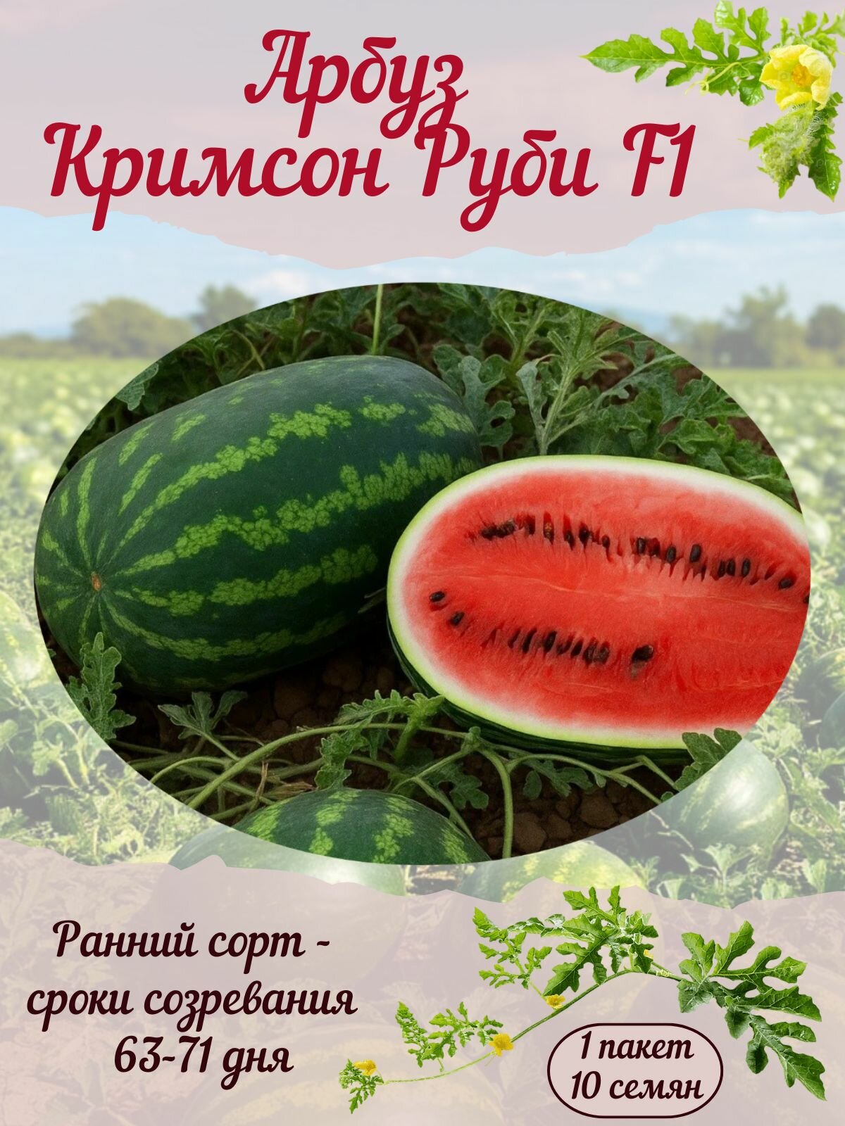 Арбуз Кримсон Руби F1, семена, 10 шт, 15 гр.