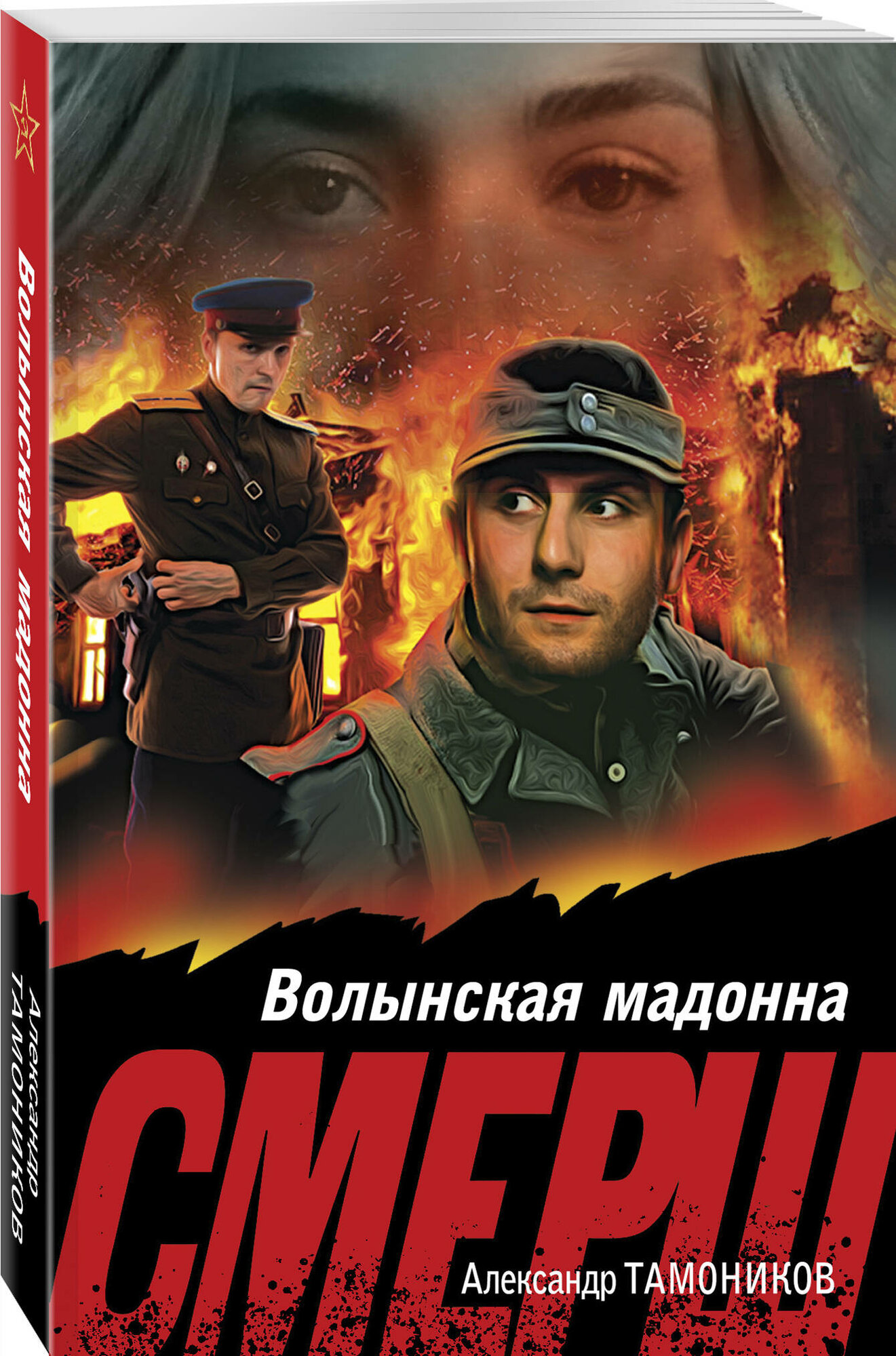 Тамоников А. А. Волынская мадонна