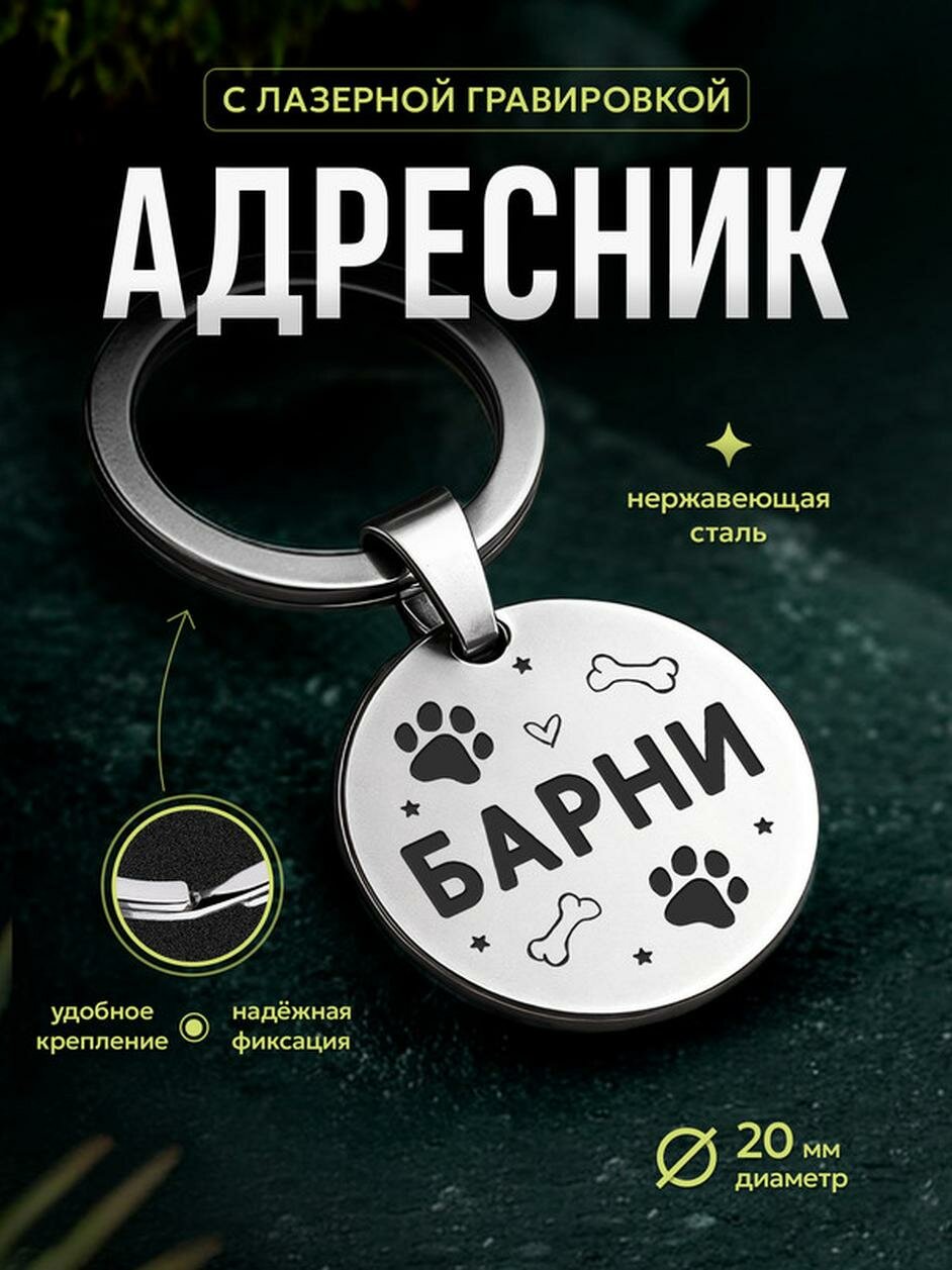 Адресник для собаки и кошки с гравировкой, нерж. сталь, серебристый, Барни
