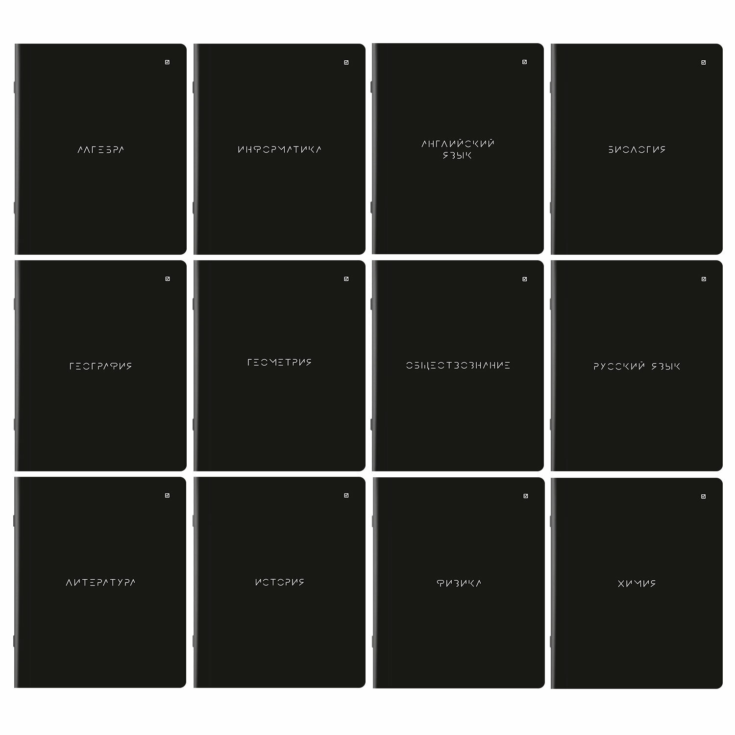 Тетради предметные, комплект 12 предметов, 48 л, матовая ламинация, BRAUBERG, "MINIMAL", 404831