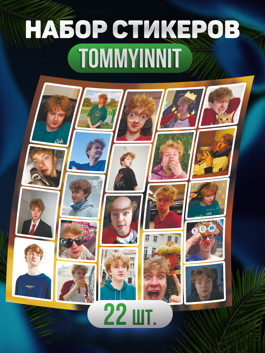 Наклейки на телефон стикеры TommyInnit