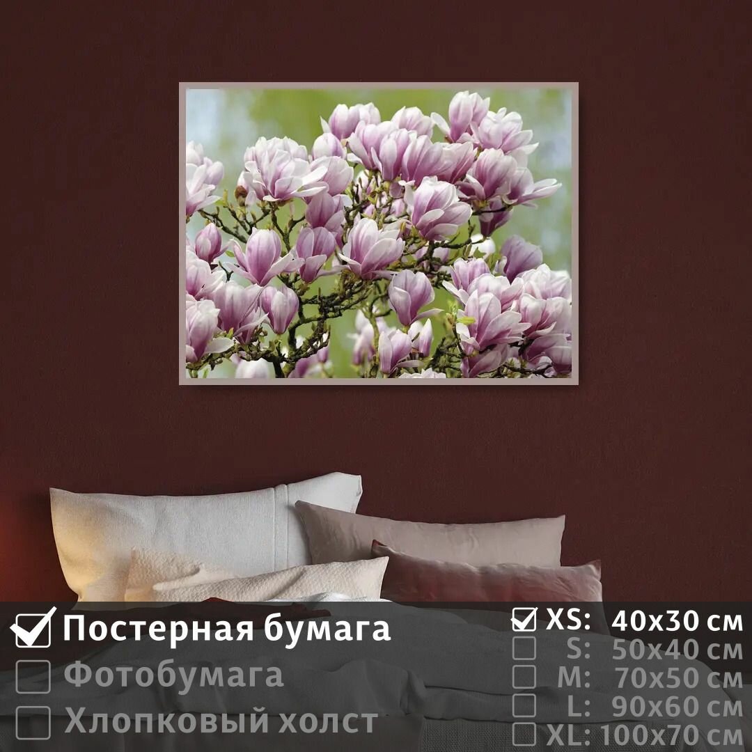 Постер на стену Ветка Магнолии 40х30 см ПолиЦентр