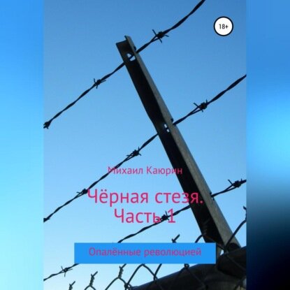 Чёрная стезя. Часть 1 [Аудиокнига]