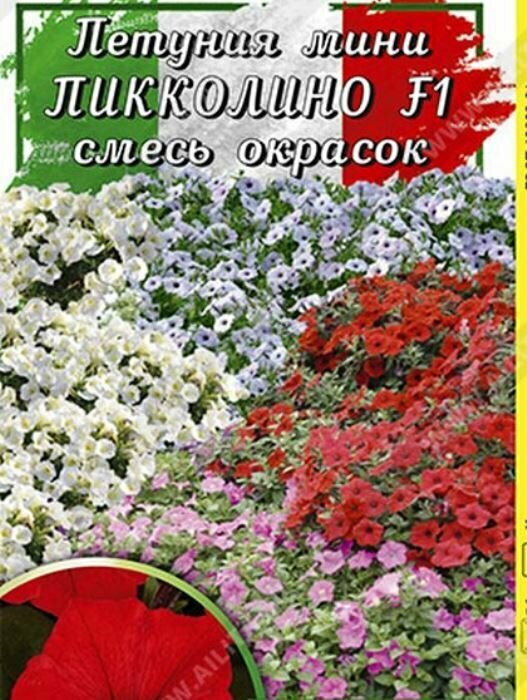 Петуния мини Пикколино F1, смесь окрасок