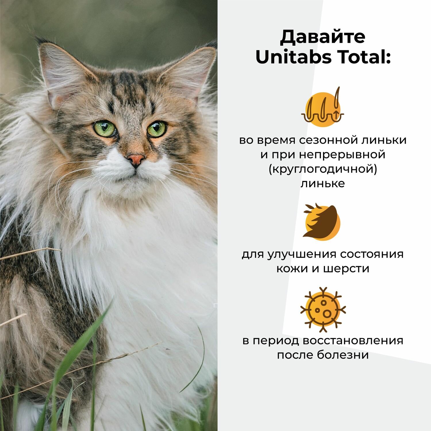 Витамины Unitabs "Total", для кошек, для шерсти, кожи, ЖКТ, мультивитамины 20 мл, 1 шт — фото 1
