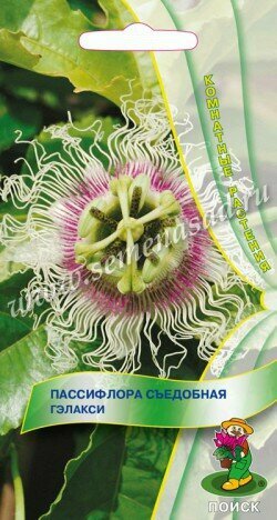 Пассифлора съедобная Гэлакси 0,2гр (комн. раст.) (Поиск)