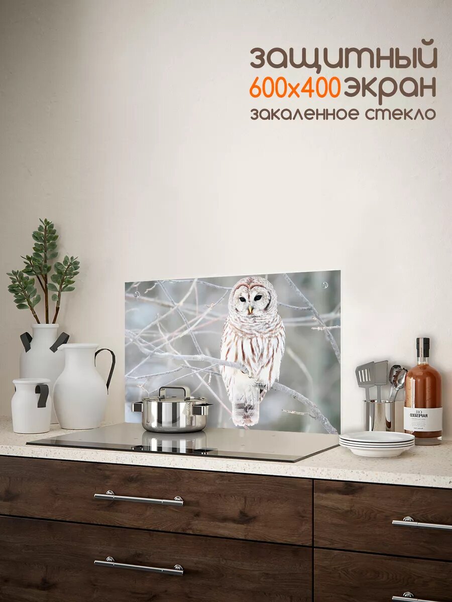 Фартук кухонный на стену 400х600мм защитный экран