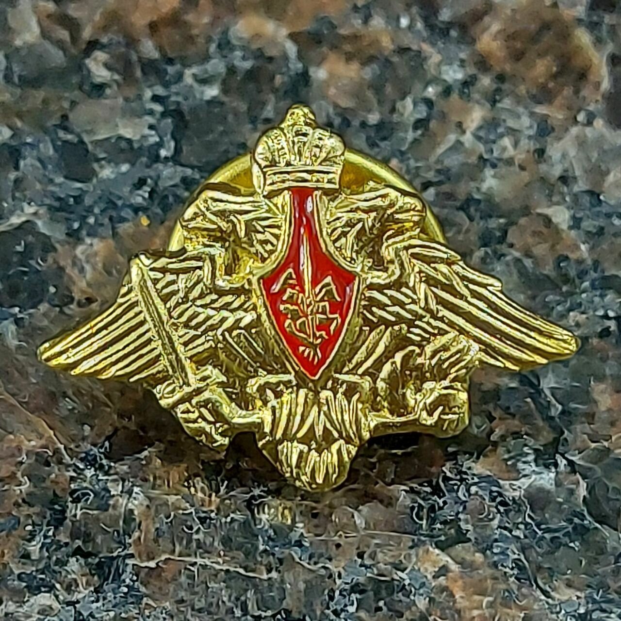 Знак фрачный сухопутные войска